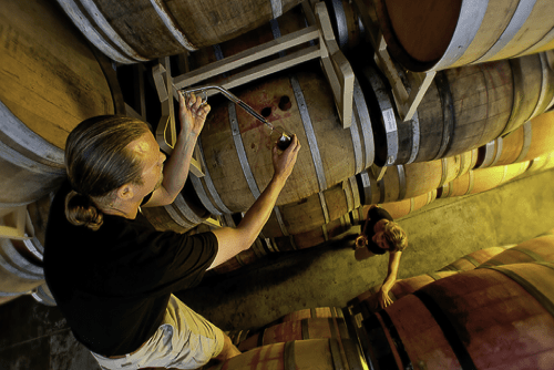 Wine Thief High Up Winery 500×334 Eric Ross Winery